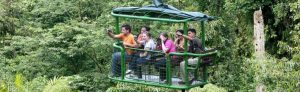 The Authentic Rainforest Experience – Expediciones Tropicales