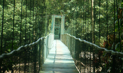 intro_13 – Expediciones Tropicales