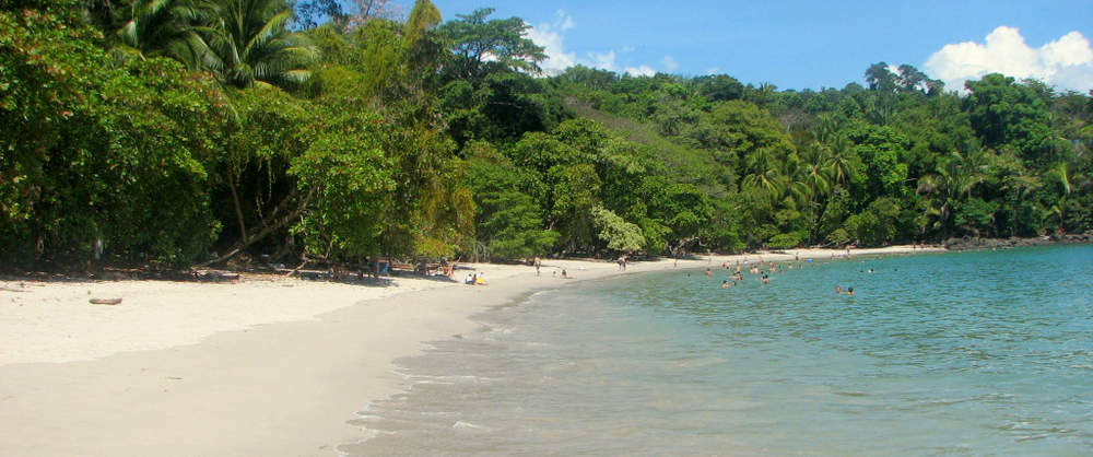 Tropical Expedition with Monteverde | Expediciones Tropicales