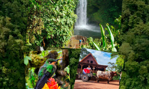 One Day Tours in Costa Rica | Expediciones Tropicales